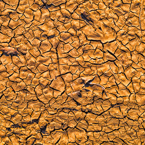 Mud and Photographic Vision - Bob Henry Photography